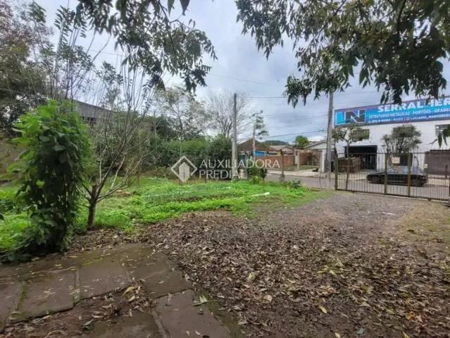 Terreno / Lote para Venda em São Leopoldo/RS Arroio da Manteiga