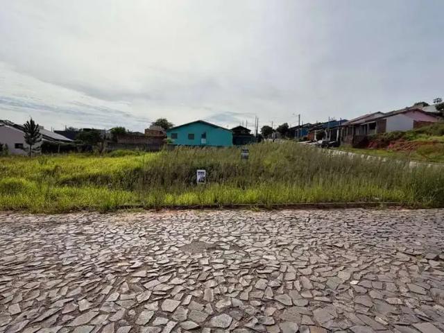 Terreno / Lote para Venda em São Leopoldo/RS Boa Vista