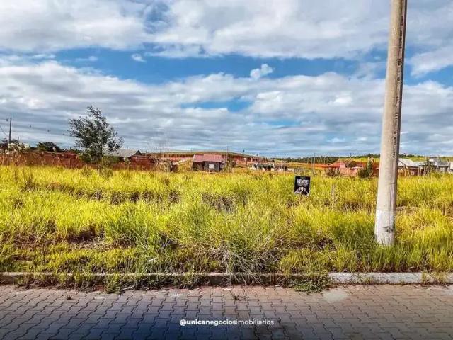 Terreno / Lote para Venda em São Leopoldo/RS Boa Vista