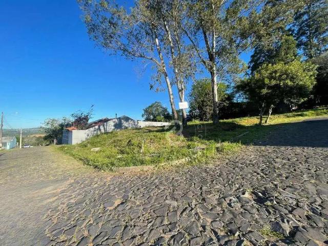 Terreno / Lote para Venda em São Leopoldo/RS Campestre