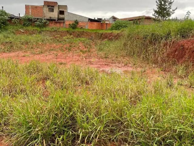 Terreno / Lote para Venda em São Leopoldo/RS Campestre