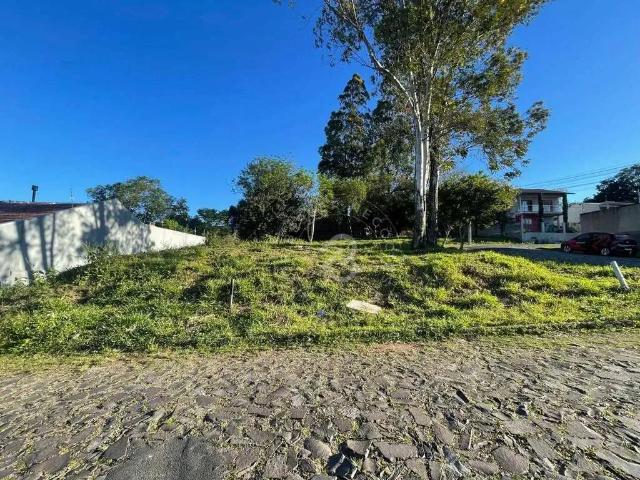 Terreno / Lote para Venda em São Leopoldo/RS Campestre