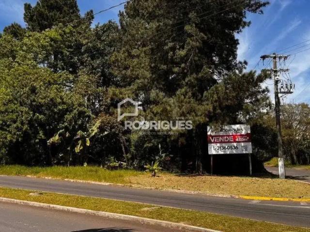 Terreno / Lote para Venda em São Leopoldo/RS Campestre