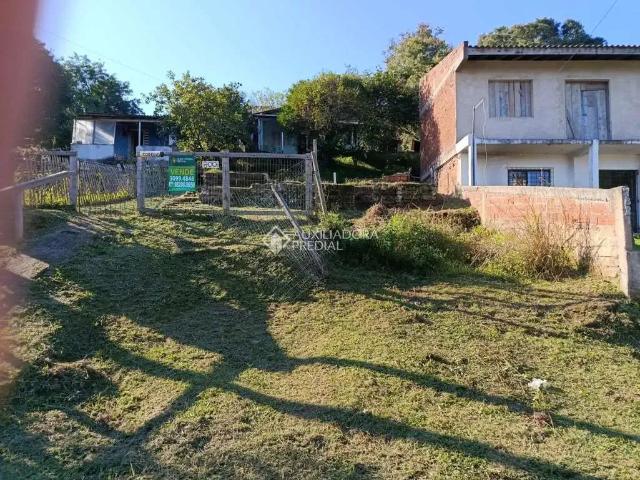 Terreno / Lote para Venda em São Leopoldo/RS Campestre