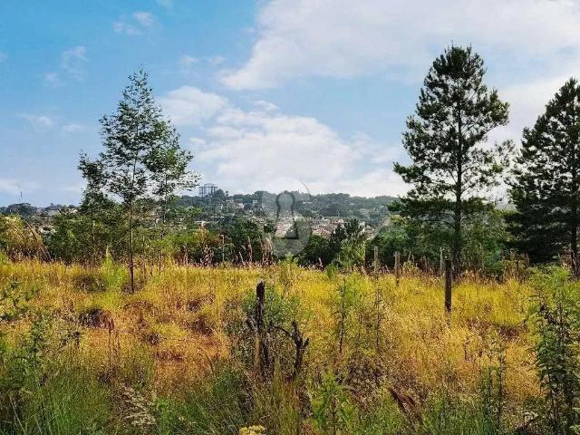Terreno / Lote para Venda em São Leopoldo/RS Campestre