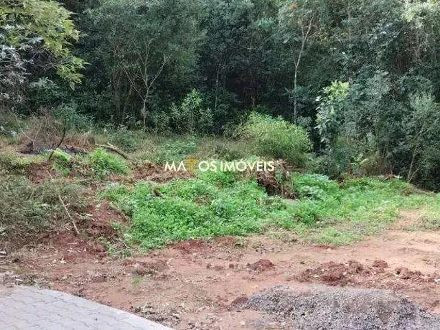 Terreno / Lote para Venda em São Leopoldo/RS Campestre