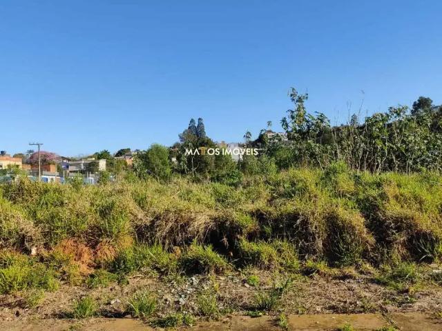 Terreno / Lote para Venda em São Leopoldo/RS Campestre