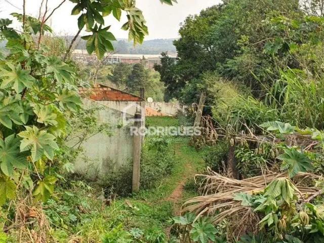 Terreno / Lote para Venda em São Leopoldo/RS Campestre