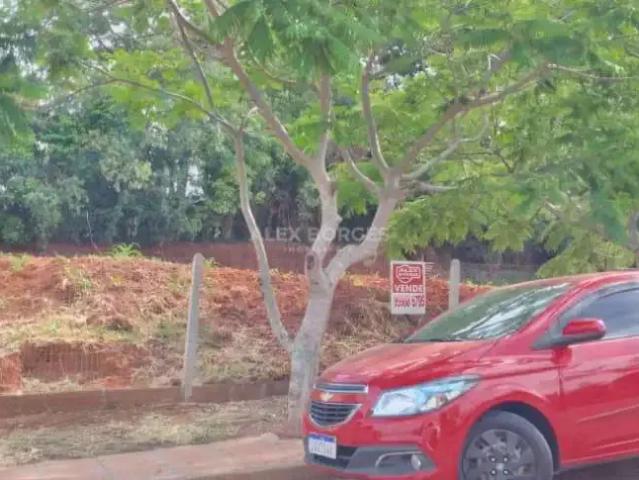 Terreno / Lote para Venda em São Leopoldo/RS Campestre
