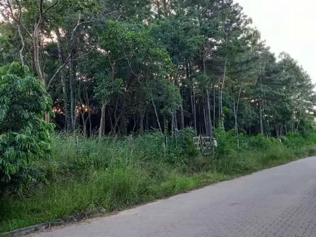Terreno / Lote para Venda em São Leopoldo/RS Campestre