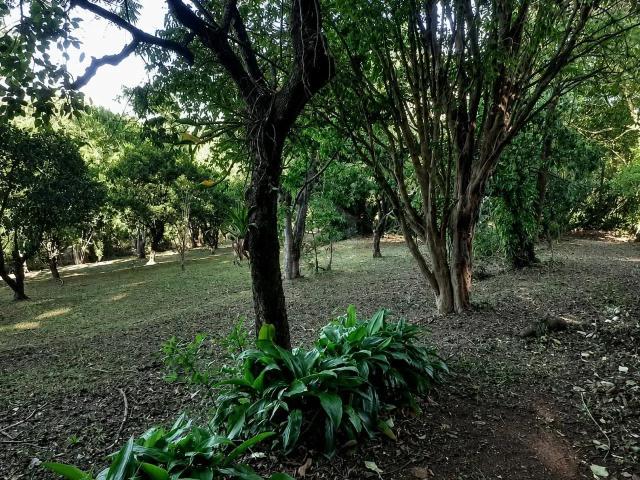 Terreno / Lote para Venda em São Leopoldo/RS Campestre