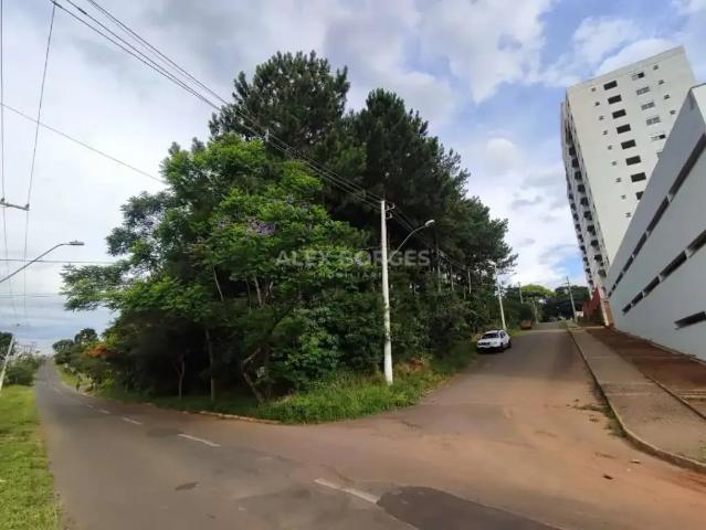 Terreno / Lote para Venda em São Leopoldo/RS Campestre
