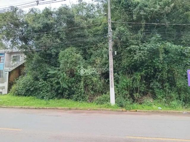 Terreno / Lote para Venda em São Leopoldo/RS Campestre