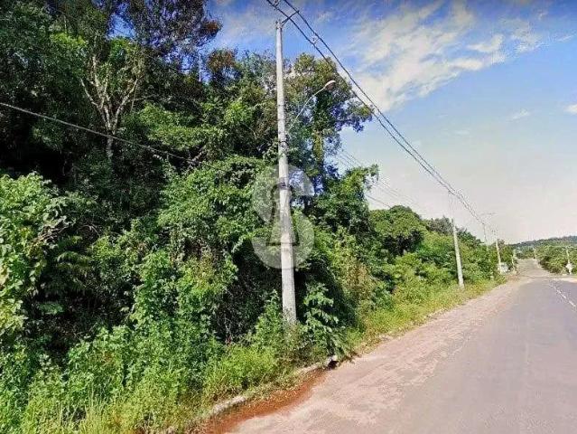 Terreno / Lote para Venda em São Leopoldo/RS Campestre