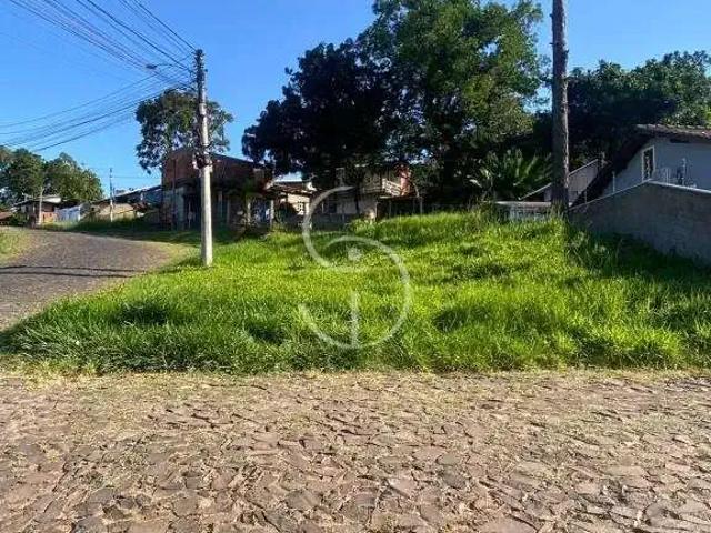 Terreno / Lote para Venda em São Leopoldo/RS Campestre