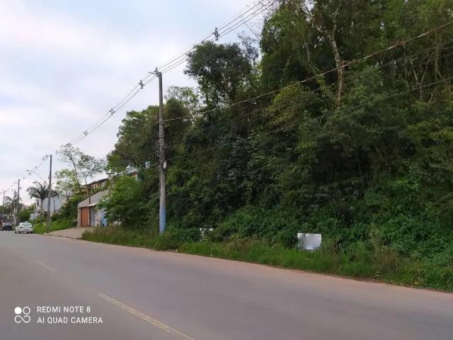 Terreno / Lote para Venda em São Leopoldo/RS Campestre