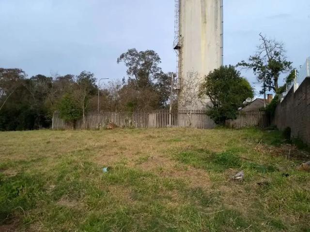 Terreno / Lote para Venda em São Leopoldo/RS Campestre