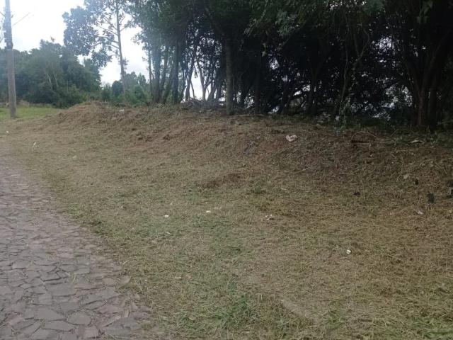 Terreno / Lote para Venda em São Leopoldo/RS Campestre