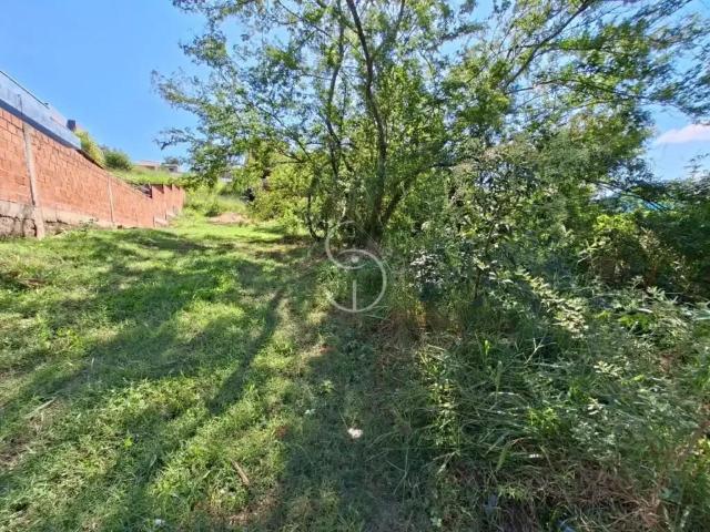 Terreno / Lote para Venda em São Leopoldo/RS Campestre