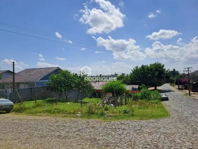 Terreno / Lote para Venda em São Leopoldo/RS Campestre