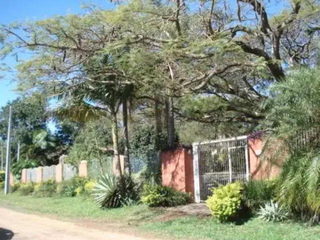 Terreno / Lote para Venda em São Leopoldo/RS Campestre