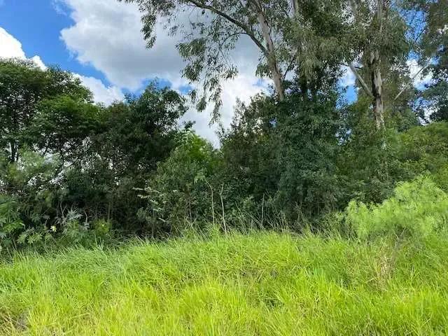Terreno / Lote para Venda em São Leopoldo/RS Campestre