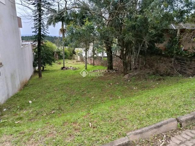 Terreno / Lote para Venda em São Leopoldo/RS Campestre