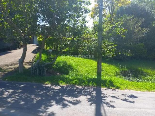 Terreno / Lote para Venda em São Leopoldo/RS Campestre