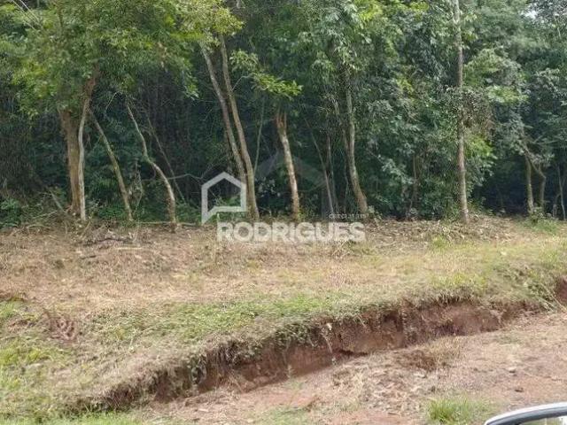 Terreno / Lote para Venda em São Leopoldo/RS Campestre