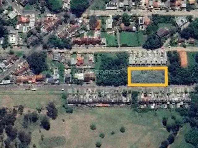 Terreno / Lote para Venda em São Leopoldo/RS Campestre