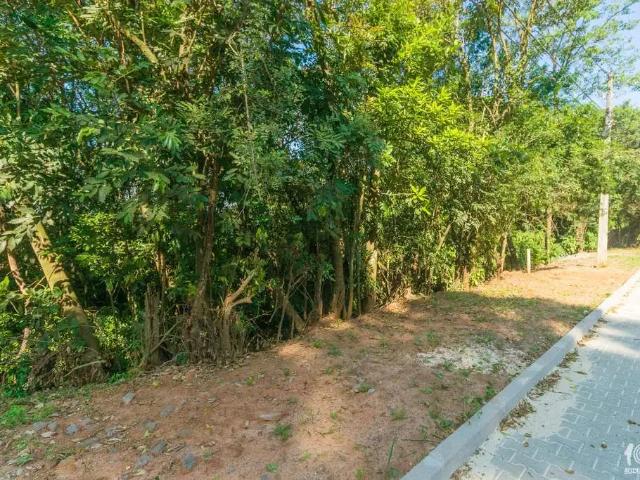 Terreno / Lote para Venda em São Leopoldo/RS Campestre