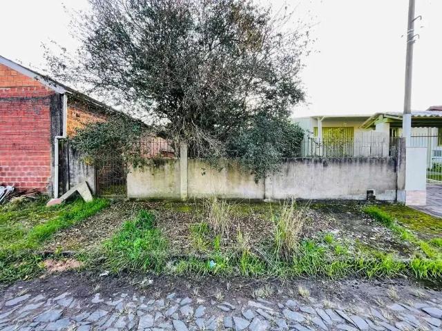 Terreno / Lote para Venda em São Leopoldo/RS Campestre