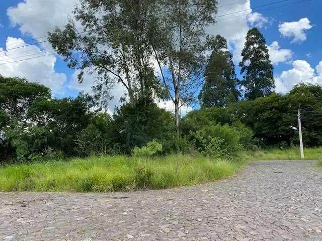 Terreno / Lote para Venda em São Leopoldo/RS Campestre