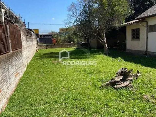 Terreno / Lote para Venda em São Leopoldo/RS Campina