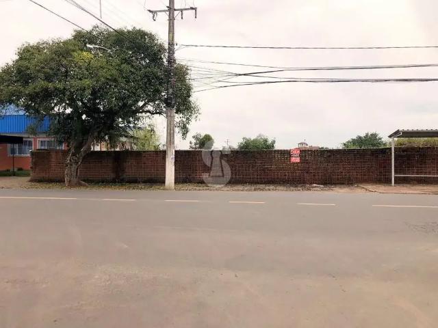 Terreno / Lote para Venda em São Leopoldo/RS Campina