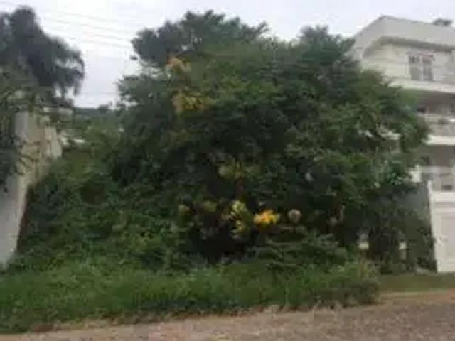 Terreno / Lote para Venda em São Leopoldo/RS Cristo Rei