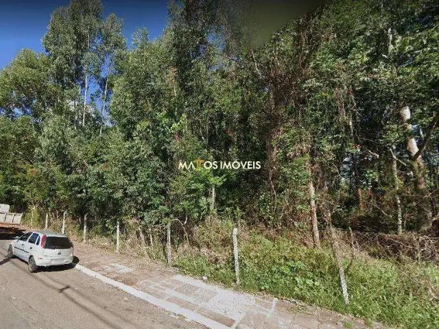 Terreno / Lote para Venda em São Leopoldo/RS Duque de Caxias