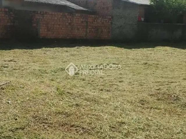 Terreno / Lote para Venda em São Leopoldo/RS Duque de Caxias