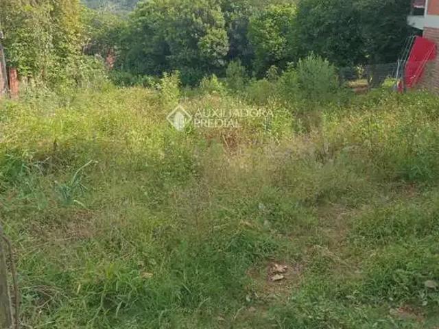 Terreno / Lote para Venda em São Leopoldo/RS Fazenda São Borja