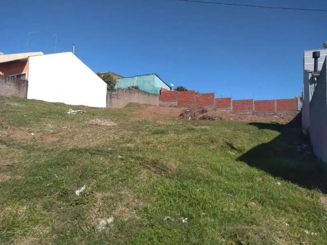 Terreno / Lote para Venda em São Leopoldo/RS Fazenda São Borja