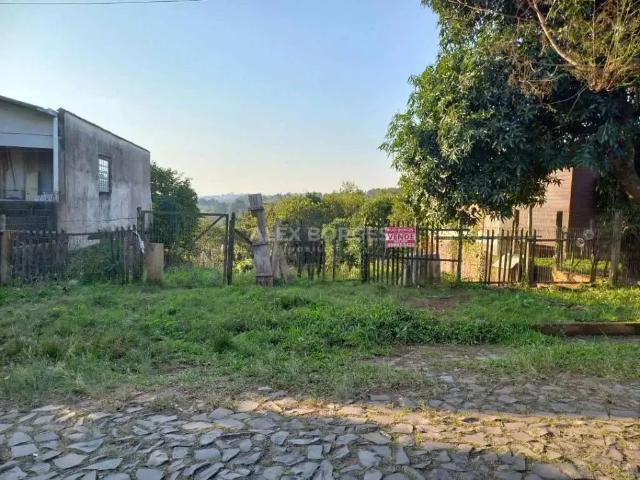Terreno / Lote para Venda em São Leopoldo/RS Fazenda São Borja