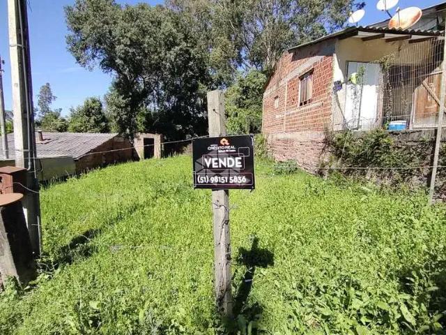 Terreno / Lote para Venda em São Leopoldo/RS Fazenda São Borja