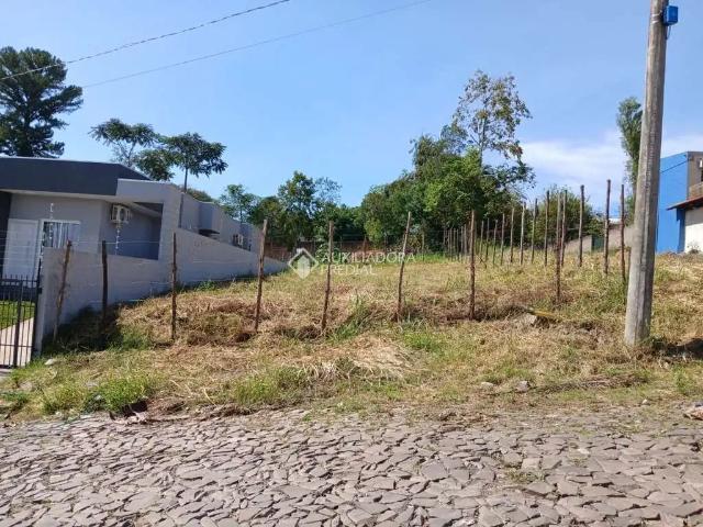 Terreno / Lote para Venda em São Leopoldo/RS Feitoria