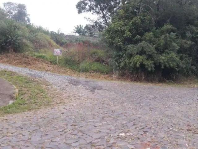 Terreno / Lote para Venda em São Leopoldo/RS Feitoria
