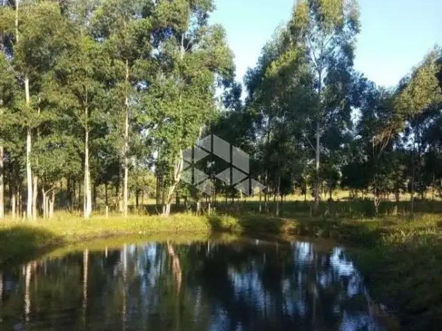 Terreno / Lote para Venda em São Leopoldo/RS Feitoria