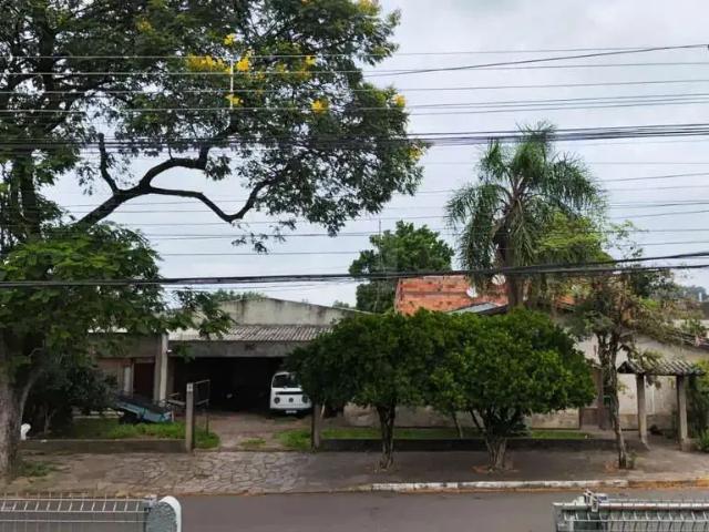 Terreno / Lote para Venda em São Leopoldo/RS Feitoria