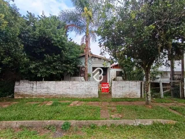 Terreno / Lote para Venda em São Leopoldo/RS Feitoria