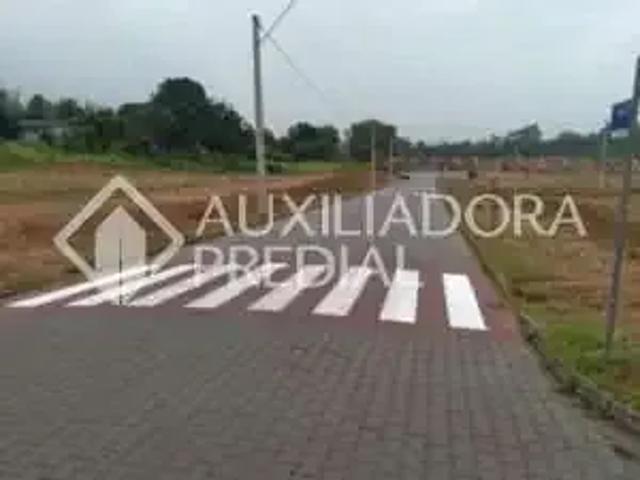 Terreno / Lote para Venda em São Leopoldo/RS Feitoria