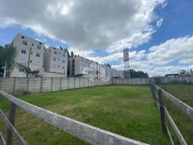 Terreno / Lote para Venda em São Leopoldo/RS Feitoria