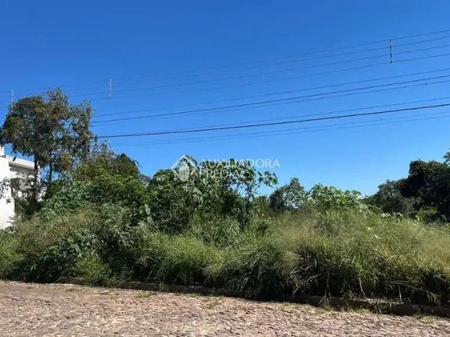 Terreno / Lote para Venda em São Leopoldo/RS Feitoria